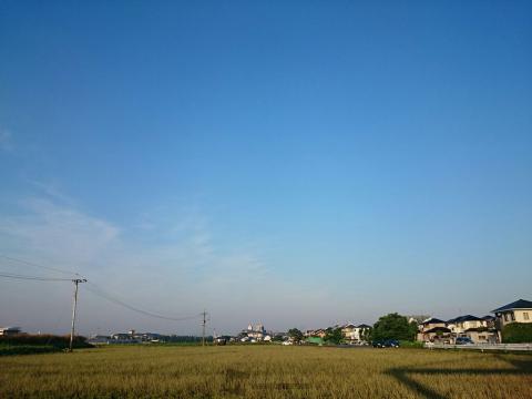 ウェザーリポート | ウェザーニュース