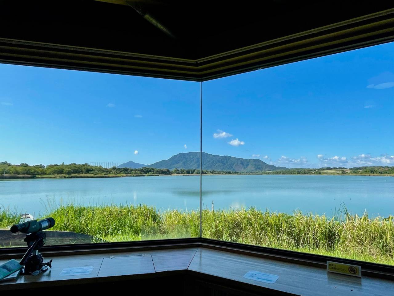 9時頃の佐潟は綺麗な青空でした ️ 今 | 新潟県新潟市西区 | こは‎♡˙ᴥ˙♡りの | ウェザーニュース