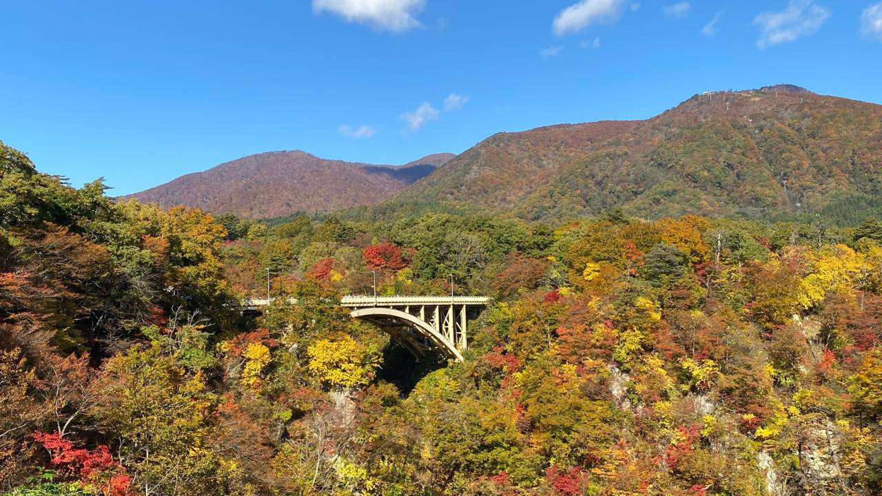 R5.10．31撮影 天気は快晴 平日に | 宮城県大崎市 | かすくん | ウェザーニュース