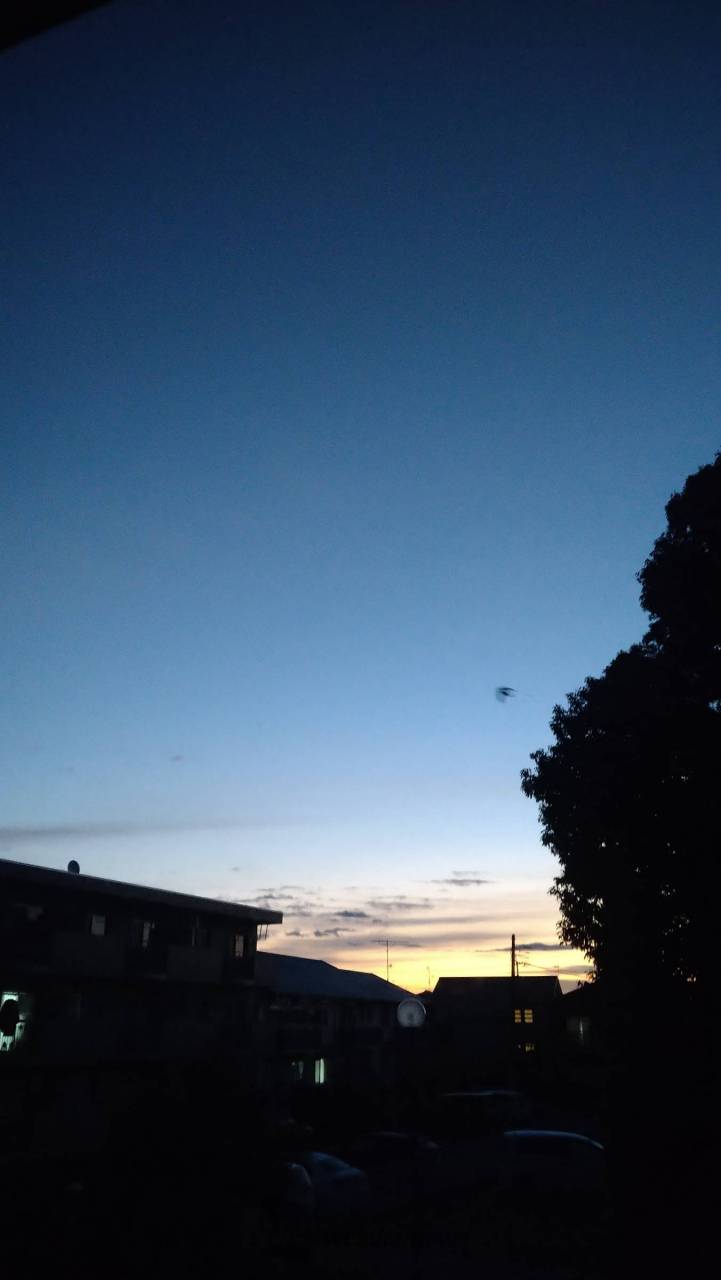 おはようございます。 朝焼け空にカラスご | 埼玉県熊谷市 | きょん | ウェザーニュース