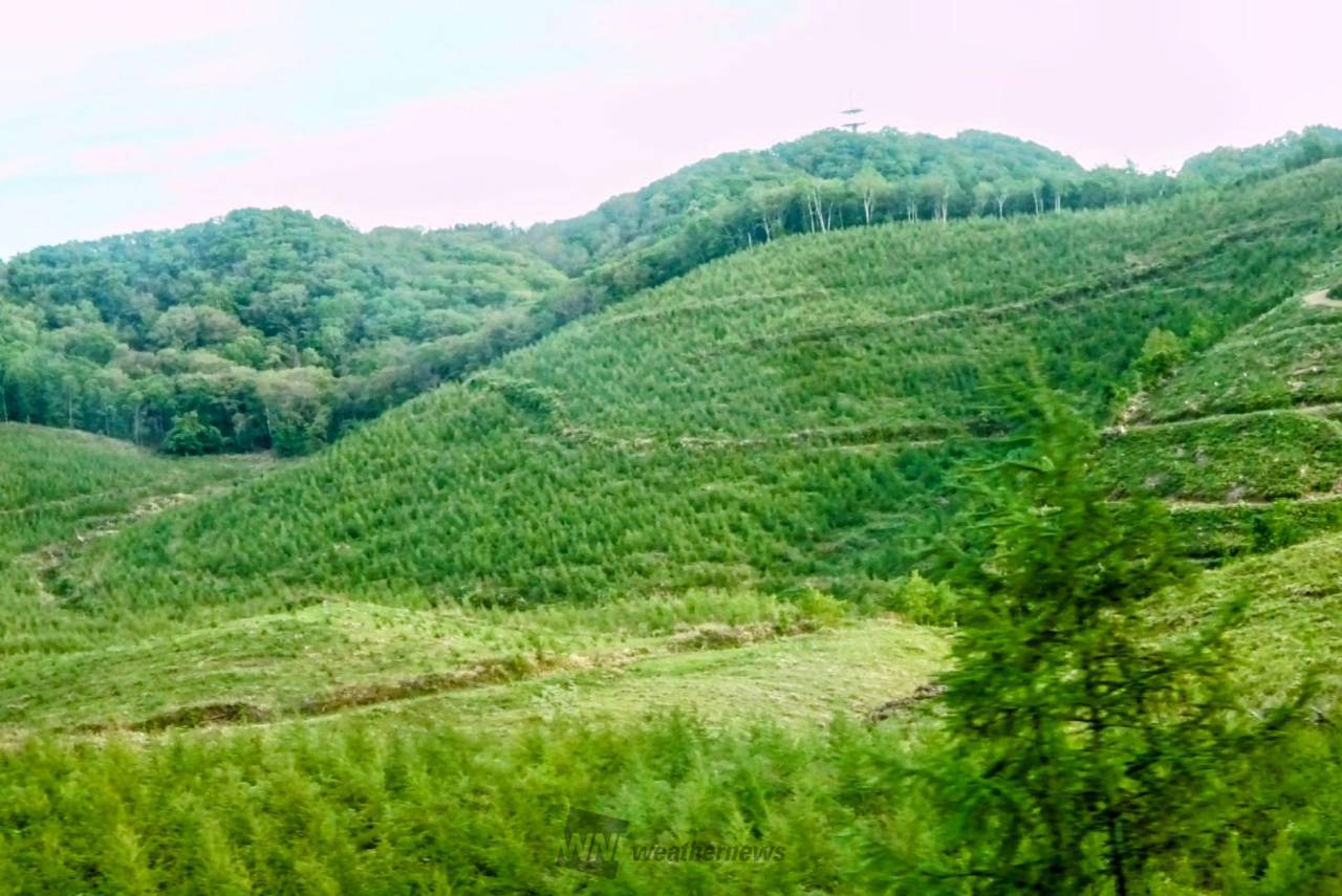 星も見えない、曇り空 明日迄、低温、曇 | 北海道北見市 | 蒼空 | ウェザーニュース