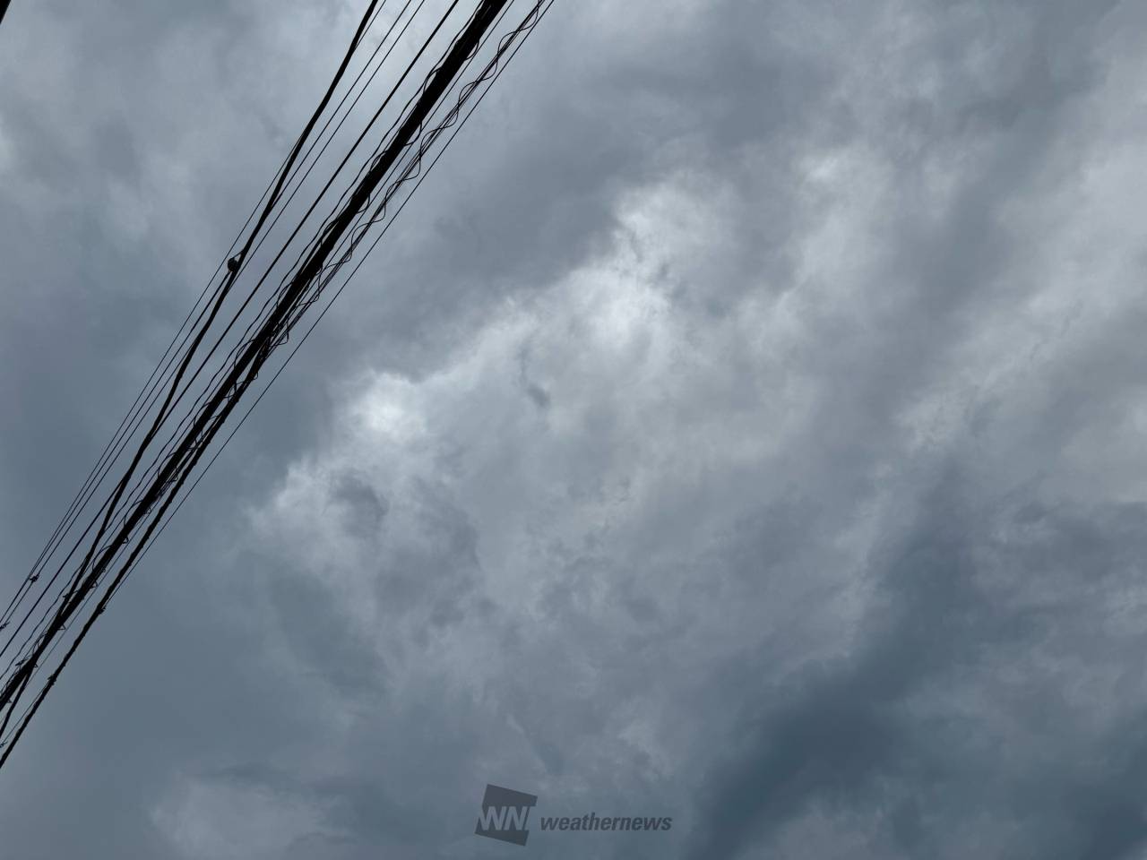 撮影日時 2024/08/17 14:5 | 神奈川県相模原市南区 | わーむぷる | ウェザーニュース