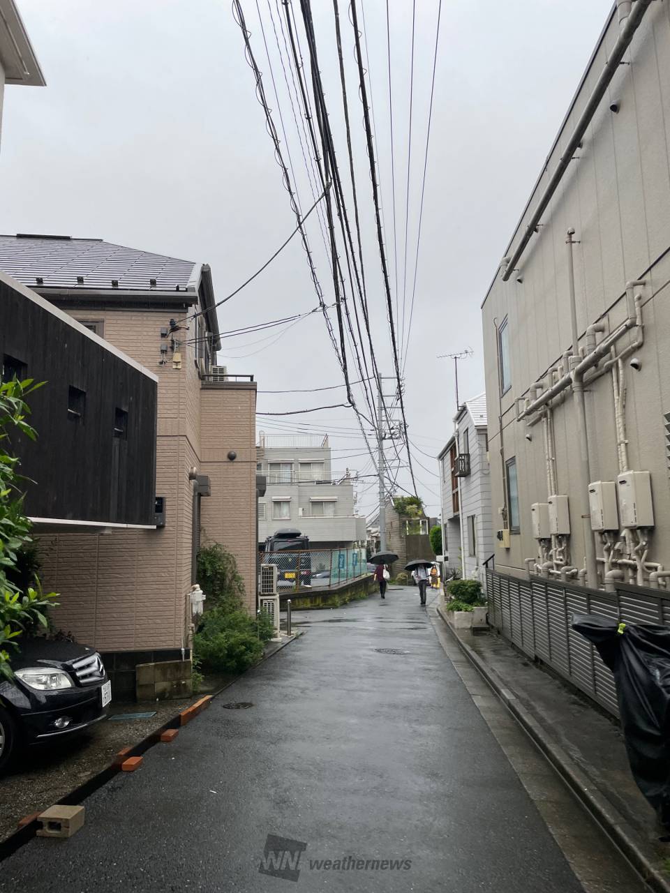 今日から小学校の二学期ですがあいにくの雨 | 東京都渋谷区 | けいさん | ウェザーニュース