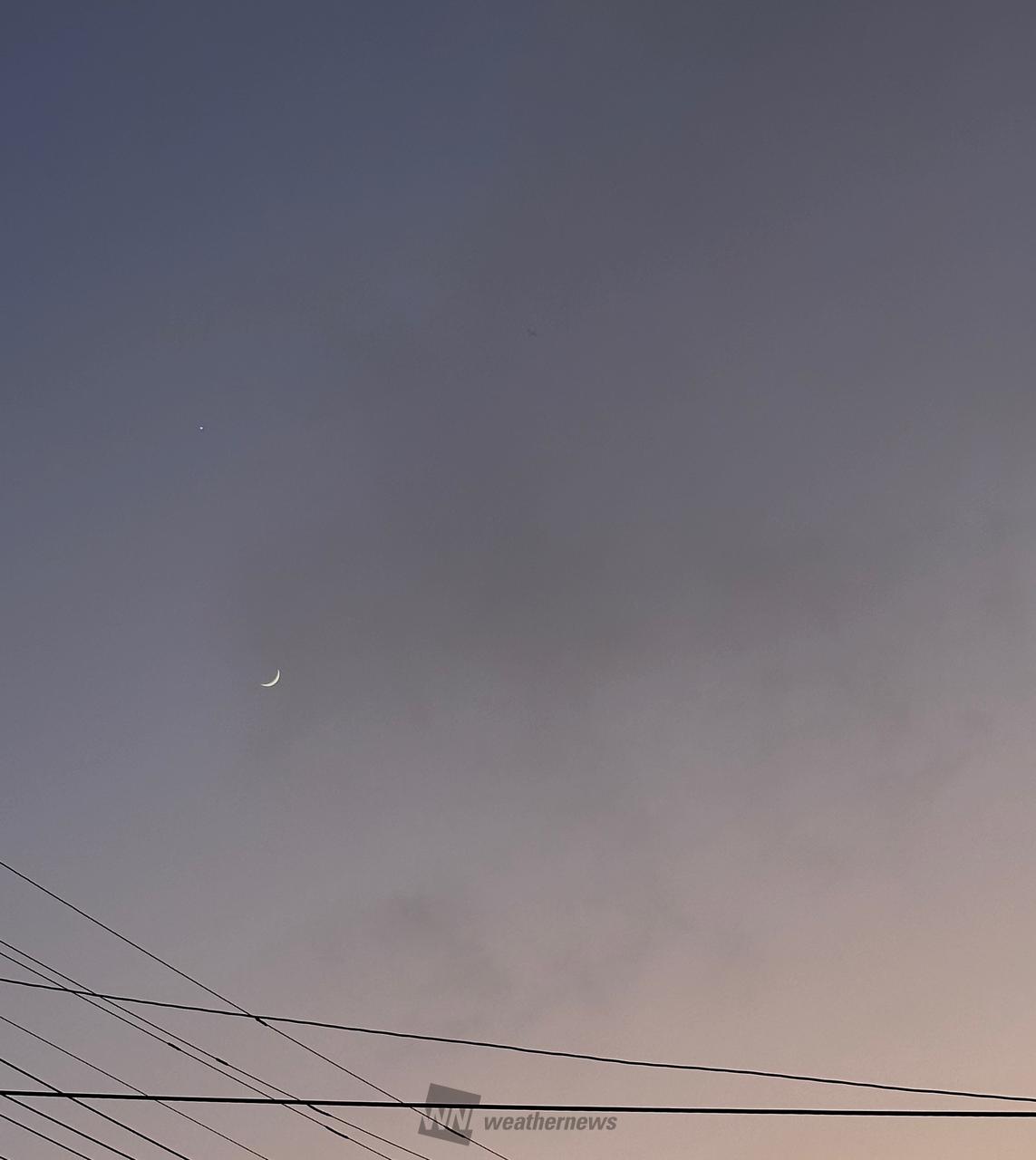 風無し晴れましたがまた薄雲が広がって来ま | 神奈川県大和市 | -arubireo＊* | ウェザーニュース