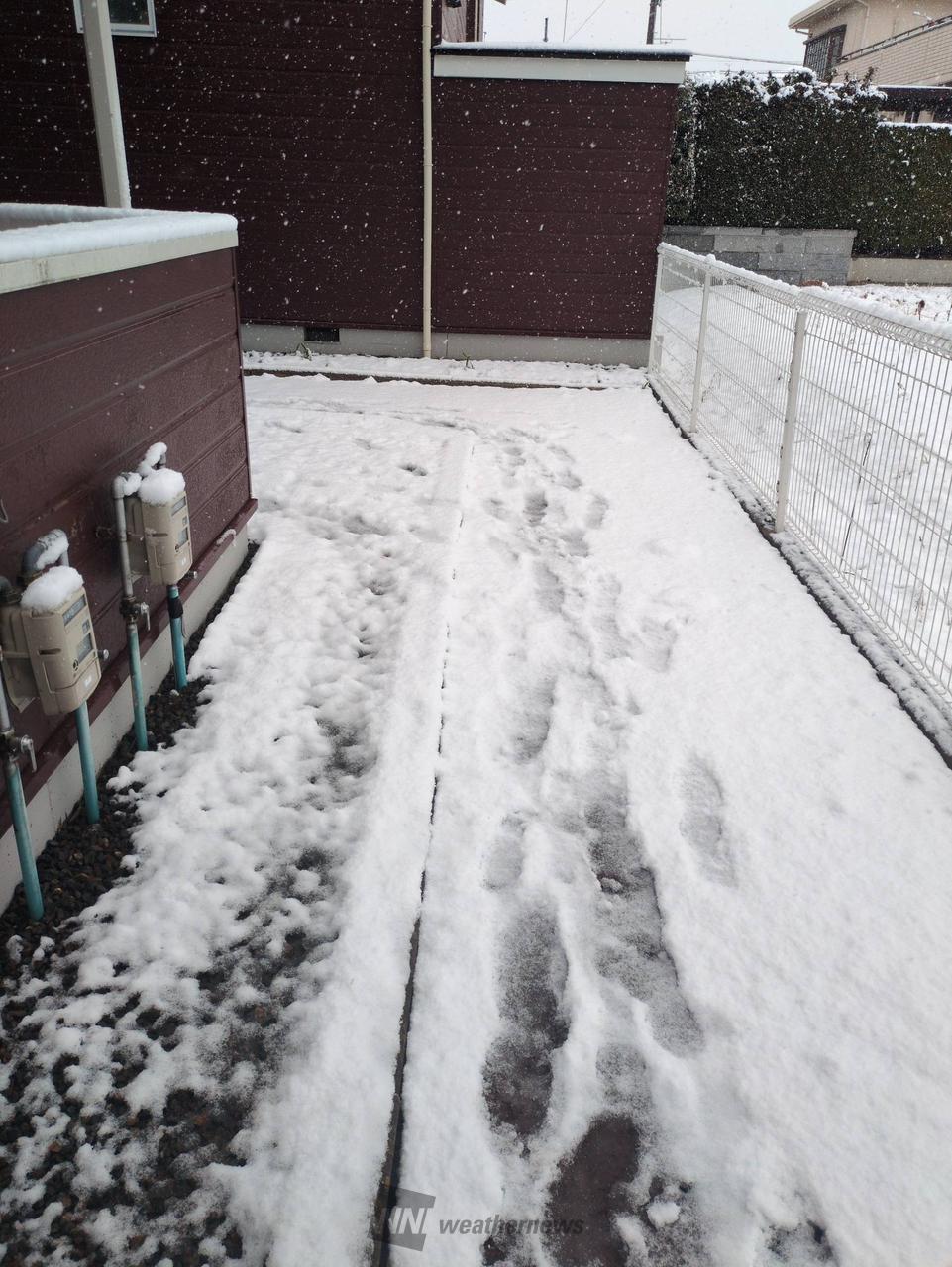 3月3 日11時29分 家周辺の写真で | 福島県郡山市 | 福島県郡山市の空 | ウェザーニュース