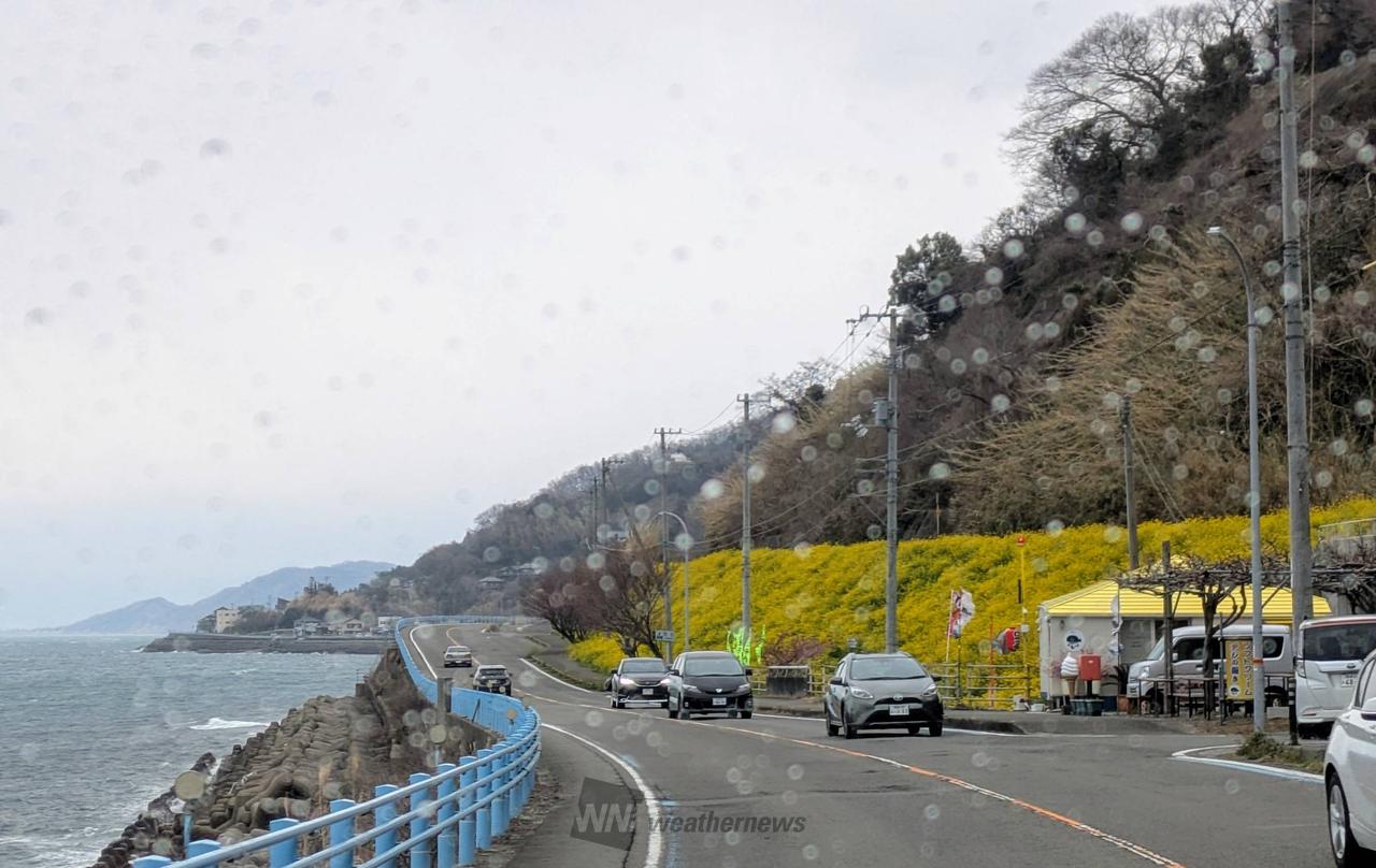 午後1:00の帰りには、曇ってしまい、遠 | 愛媛県伊予市 | Jiji＆Myu | ウェザーニュース