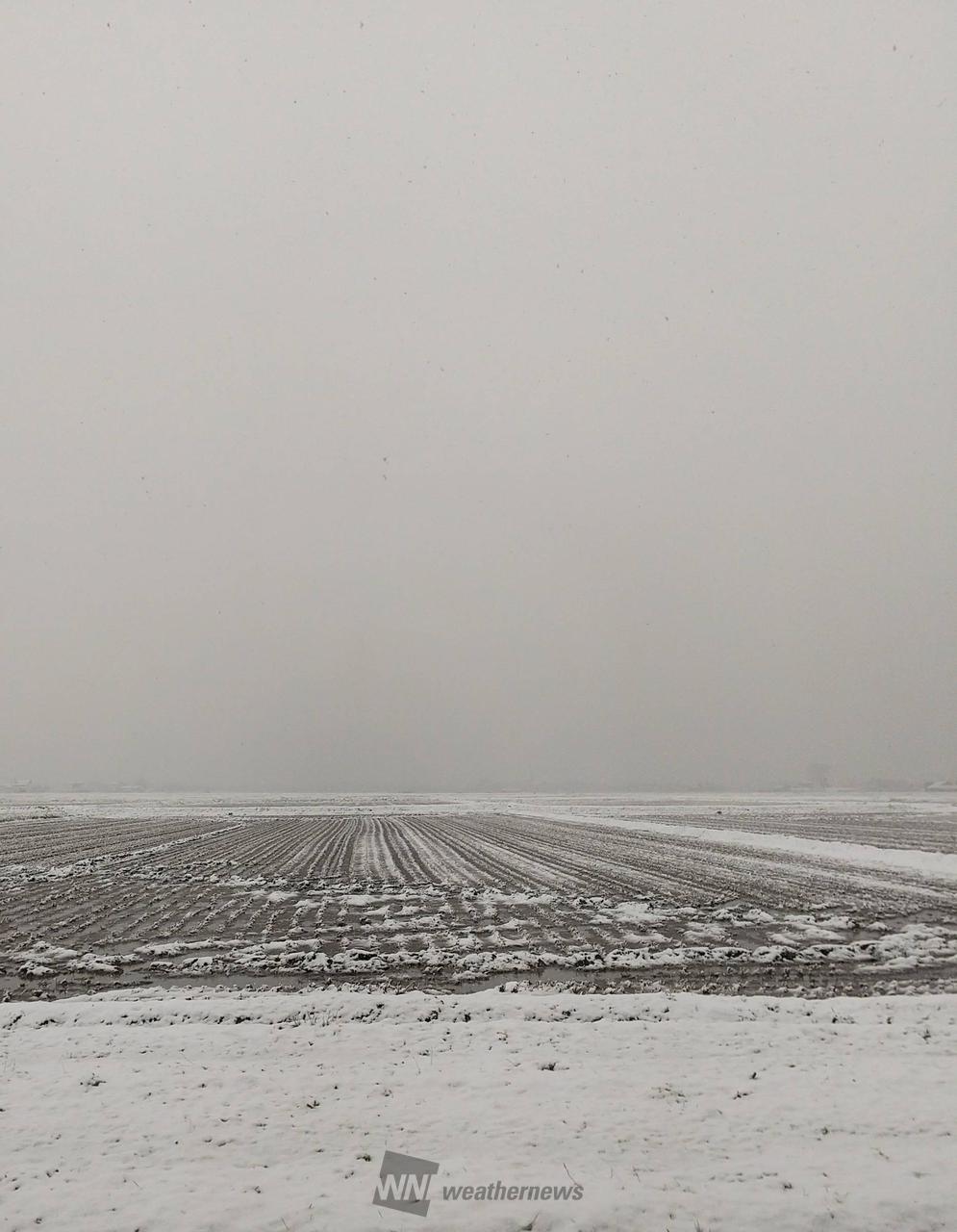 冬に逆戻り～🤣☃️ 道路も白くなっちゃ | 北海道上川郡東川町 | わんこ♪ | ウェザーニュース