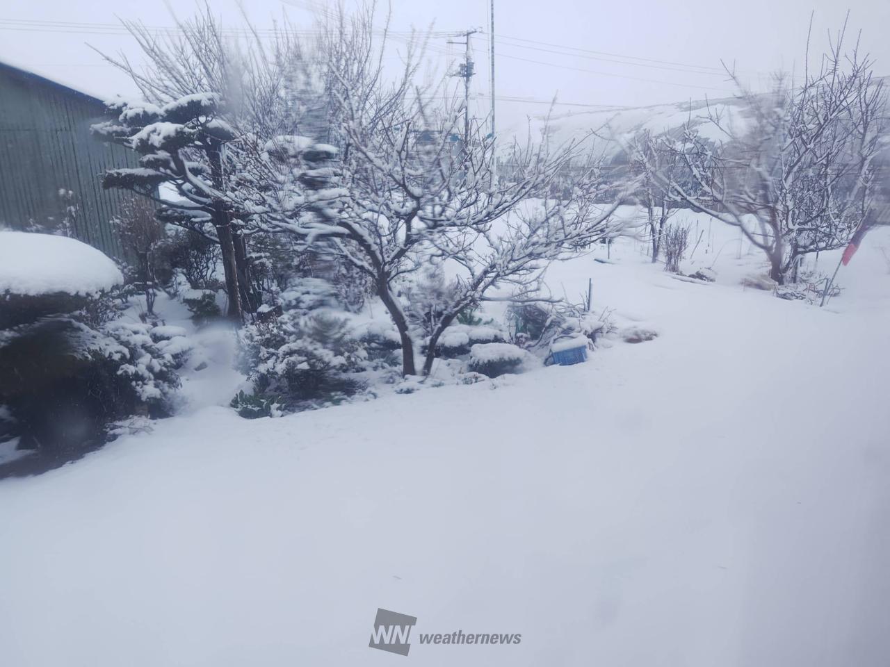 #朝イチリポート おはようございます。 | 北海道斜里郡小清水町 | nobu | ウェザーニュース